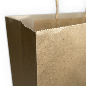 Recycled Kraft Paper Shopping Bags - Earthpack