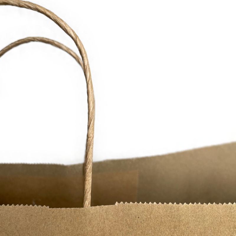 Recycled Kraft Paper Shopping Bags - Earthpack